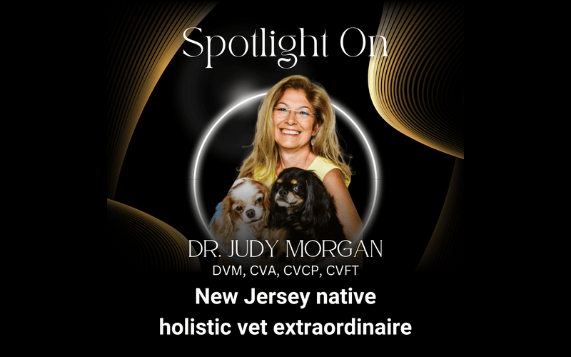 Dr. Judy Morgan: A Trailblazer in Holistic Veterinary Medicine