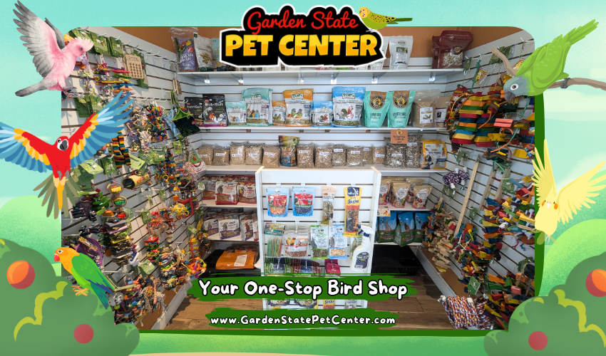 Discover Our Feathered Friends – A Bird Lover’s Paradise at Garden Sta