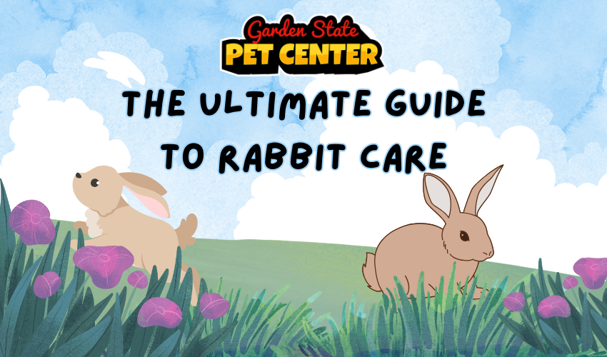 Rabbit Protection In Gardens 14 Of The Best Rabbit Deterrents For Your