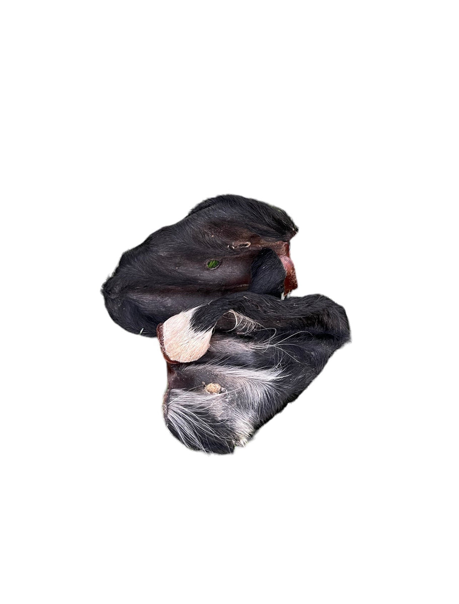 Dehydrated Beef Ears with Fur - Audubon, NJ - Garden State Pet Center