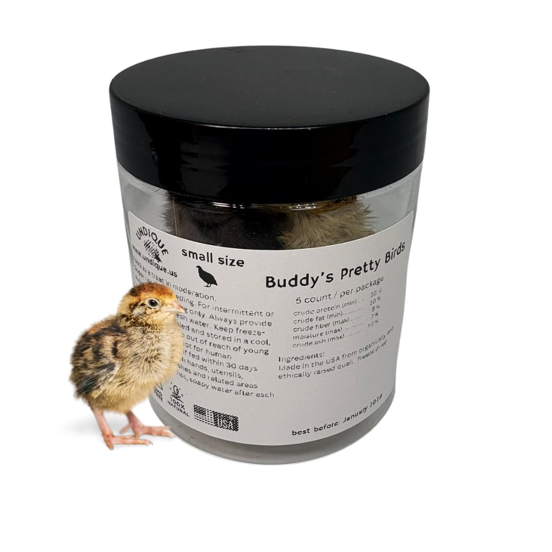 Whole Quail for Carnivore Pets - Premium Quality Natural Pet Treats ...