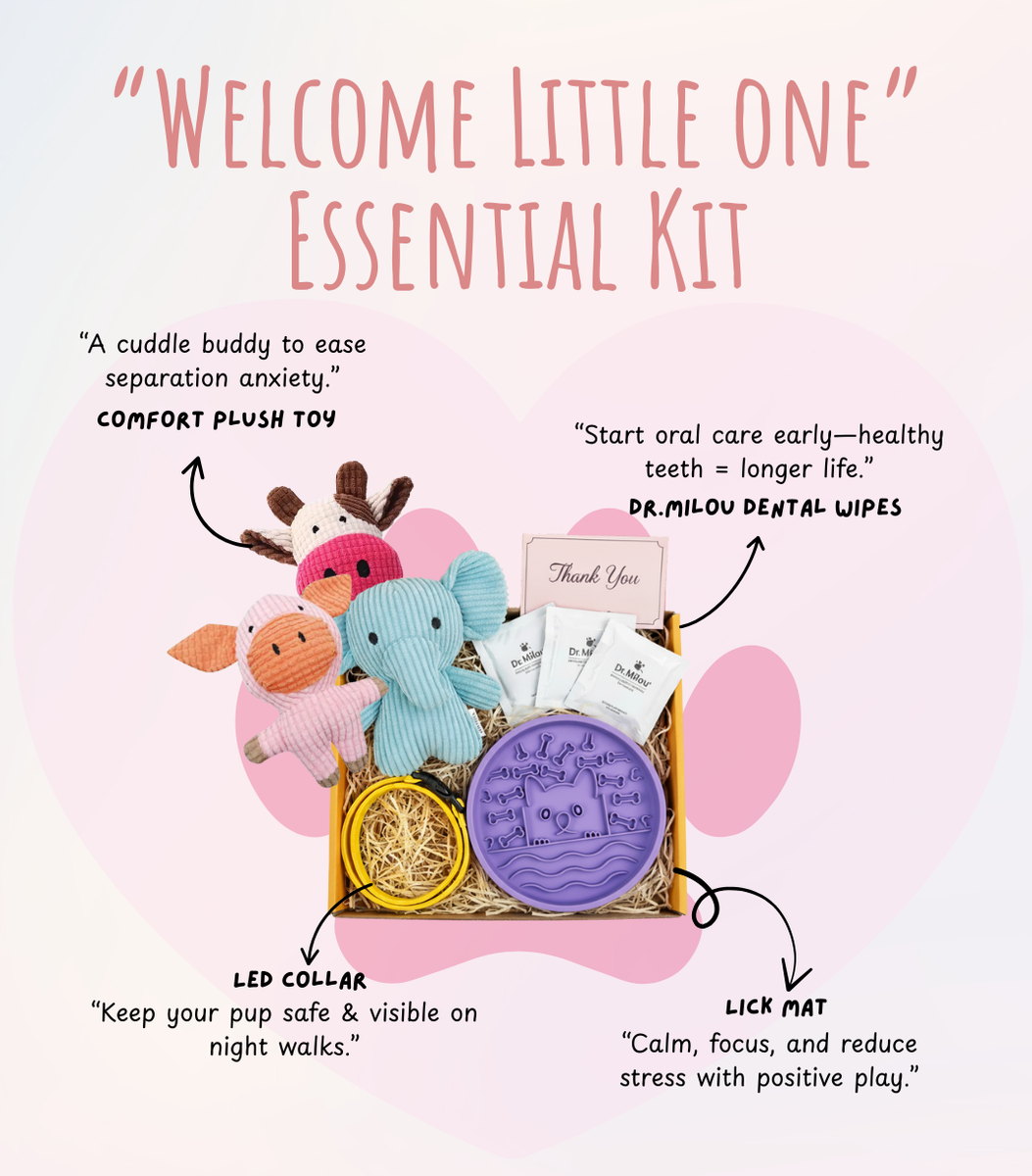 🐶 Milou & Lumi “Welcome Little One” Essential Kit - Audubon, NJ ...