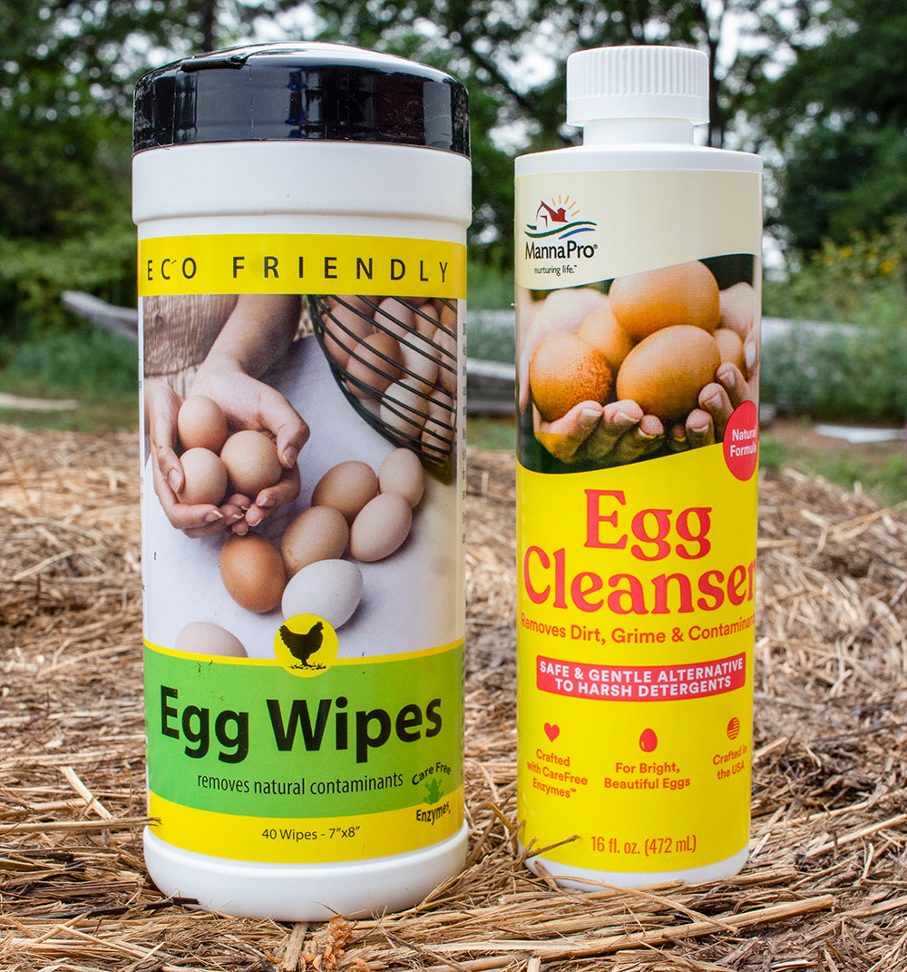 All Natural Egg Cleanser: Clean Soiled Eggs Easily! - Audubon, NJ ...