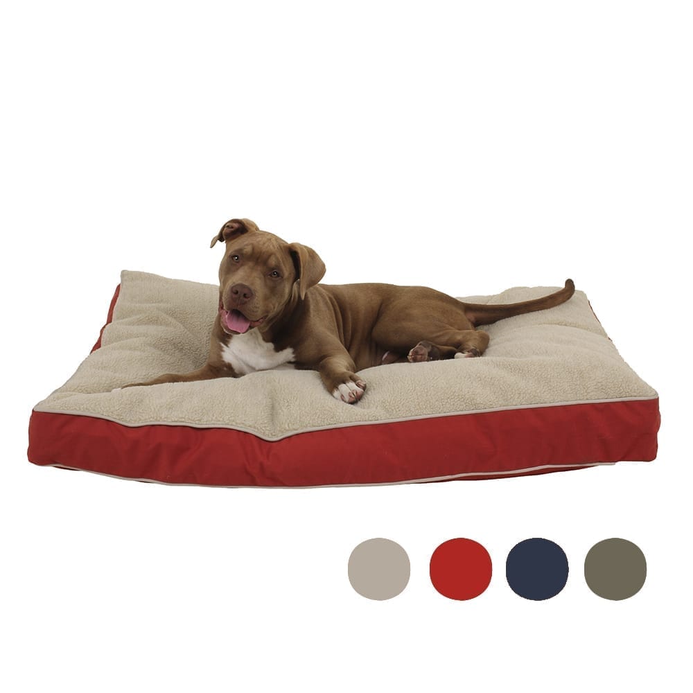 Four Season Jamison Reversible Berber Dog Bed - Audubon, NJ - Garden ...