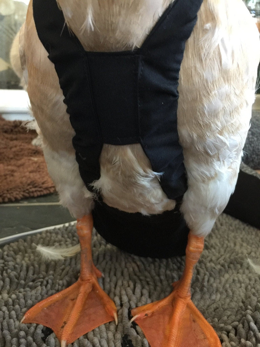 Hen Holster Waterfowl Diaper with Removable Liners - Audubon, NJ ...