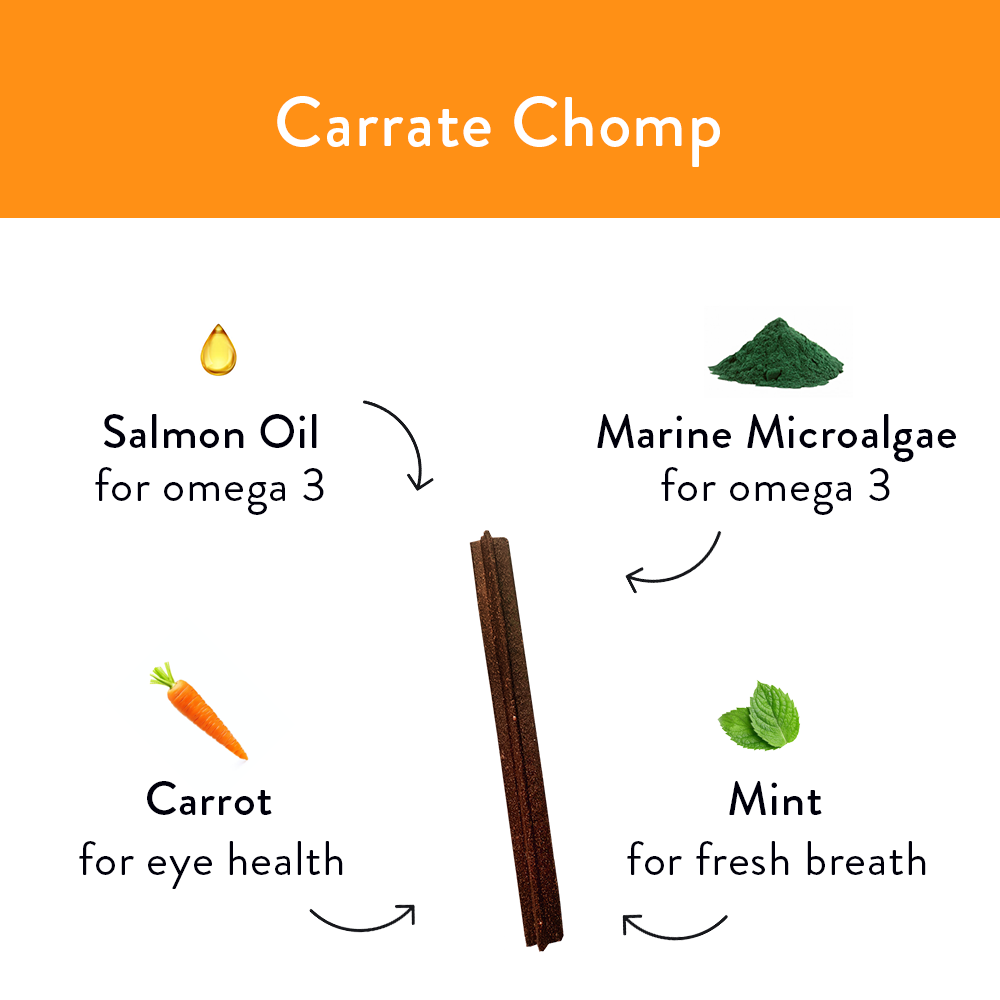 Shameless Pets Carrate Chomp Dental Stick Dog Treats - Audubon, NJ ...