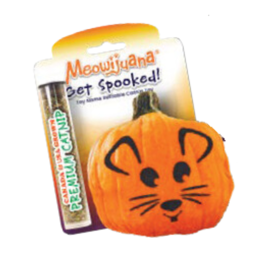 Meowijuana Get Spooked Refillable Pumpkin Cat Toy - Audubon, NJ ...
