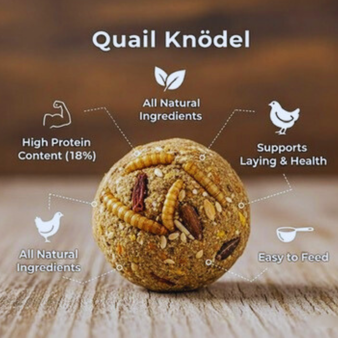 Quail & Gamebird Knödel — Enrichment Feed Ball with Mealworms 2 pack ...
